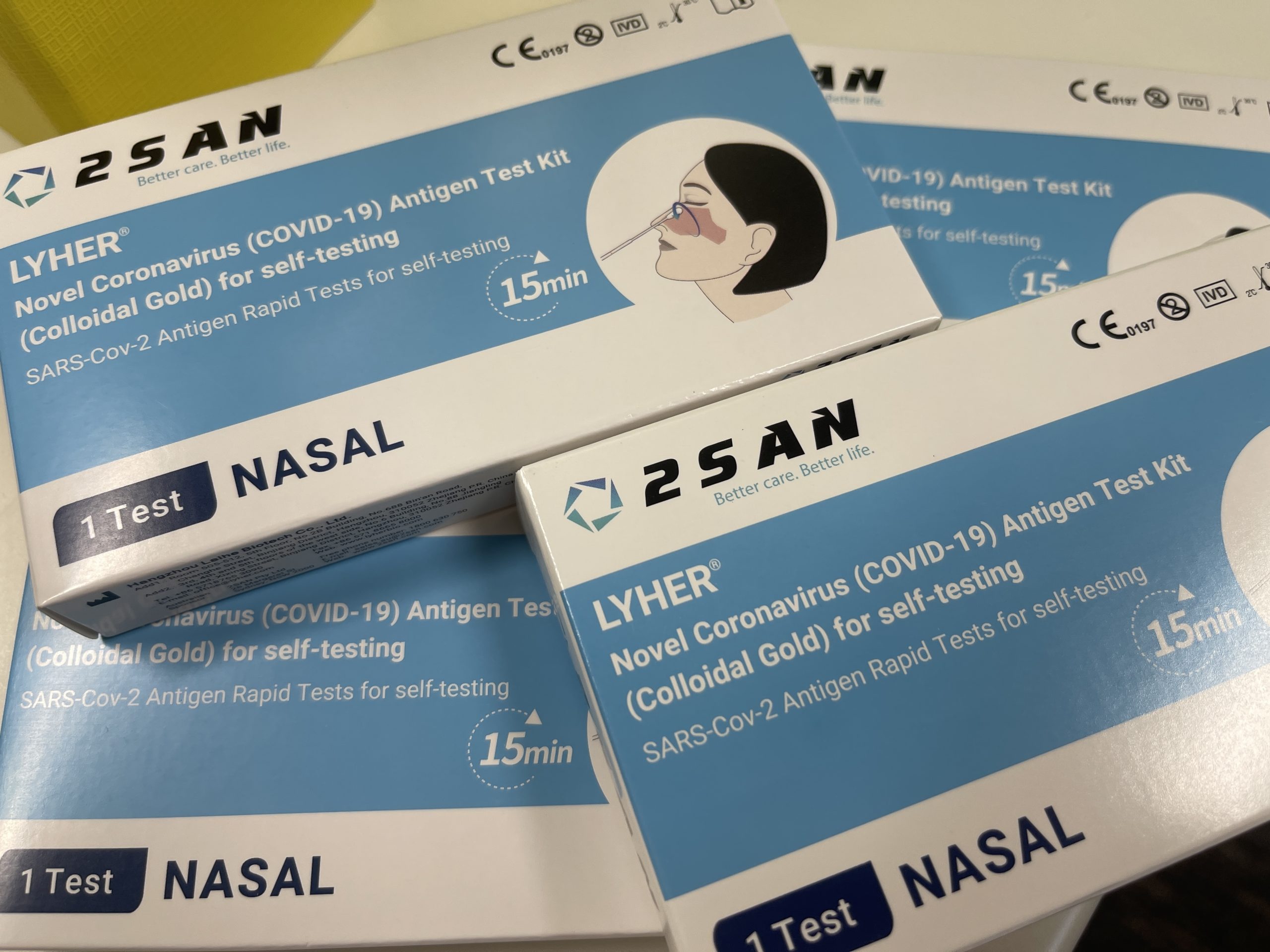 RAT testing and back to school - St Joseph's Narrabeen